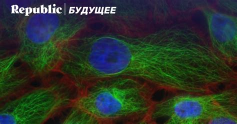 Раковые клетки распространяются когда перестают перерабатывать отходы Будущее Republic