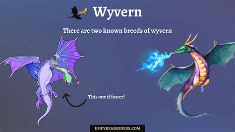 Wyvern Empyrean Riders