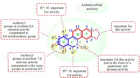 Llustrating The Structure Activity Relationship For The Antimicrobial Download Scientific