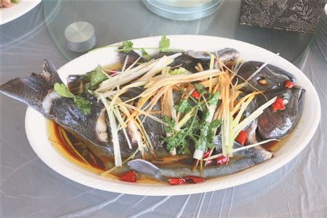 生活报网