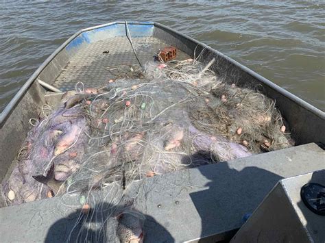 ИАРА дари над 500 кг риба на Зоопарк Бургас и Зоопарк Айтос Новини Всичко за