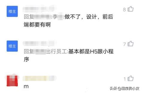 程序员月入两万看到工作内容后网友我还是搬砖吧 golang 程序员 月收入 万 CSDN博客