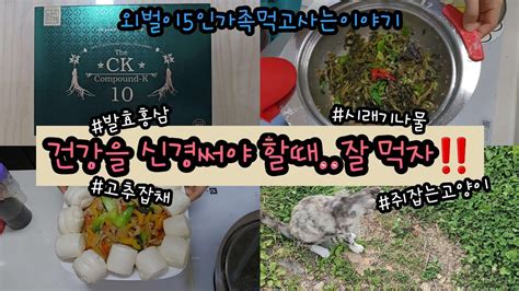 🍚돌밥돌밥🍚외벌이5인가족먹고사는이야기 제품협찬 진비책 Theck컴파운드10 건강을 신경써야 할때잘 먹자‼️ 일상 집밥 절약 냉장고파먹기 Youtube