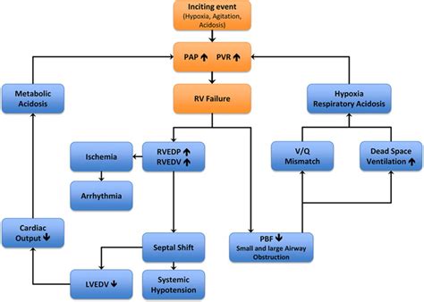 Pediatric Pulmonary Hypertension Circulation