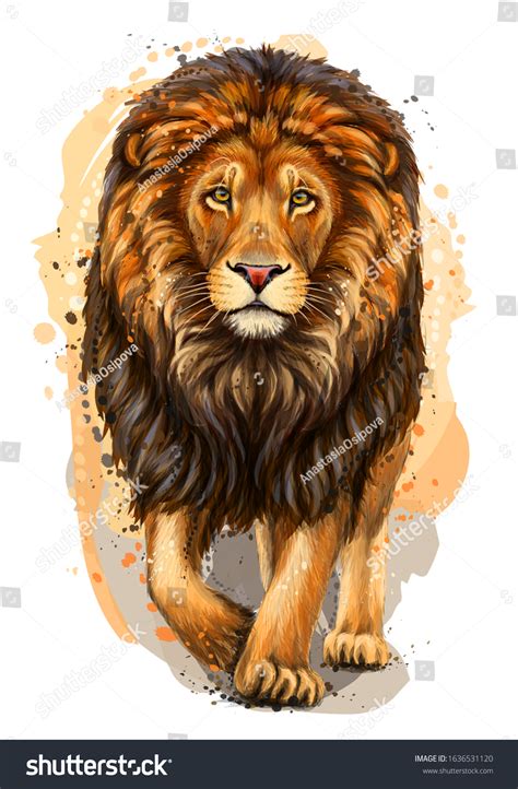 Lion Drawing Color