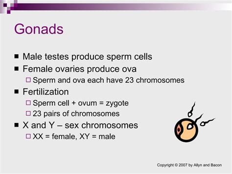 Sex And Harmones Pdf Endocrine And Metabolic Diseases Diseases And Conditions