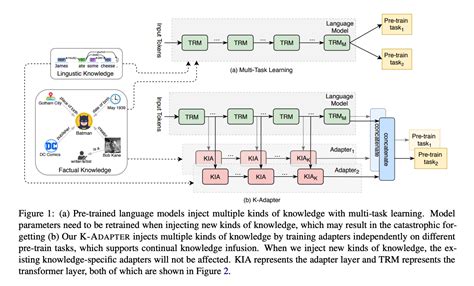 K Adapter Infusing Knowledge Into Pre Trained Models With Adapters