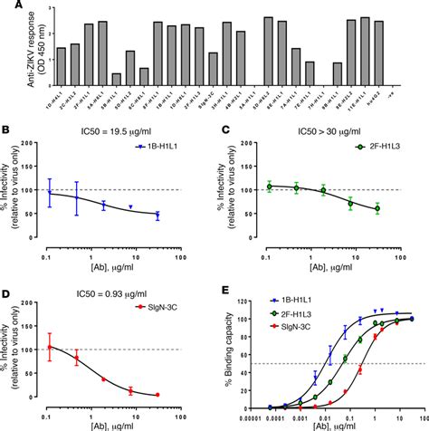 Binding And Neutralizing Activity Of Human Denv Mabs Against Zika Download Scientific Diagram
