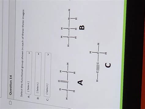 Solved Select The Functional Group Shown In Each Of These Chegg Com