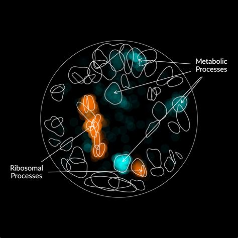 Github Riskportalnetwork Tutorial Jupyter Notebook Demonstrating