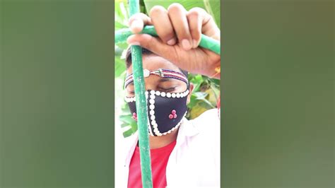Teer Dhanush Prt 26 Youtube