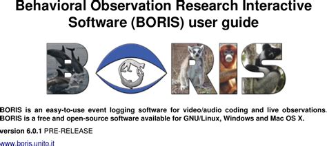 Behavioral Observation Research Interactive Software Boris User Guide Boris