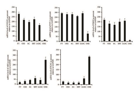 Validation Of Differentially Expressed Genes By Rt Pcr Gene Expression