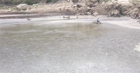 Miles De Peces Han Muerto Tras Sequías Extremas En Hidalgo Infobae