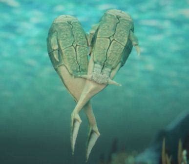 Flinders Scientist Discovers Origins Of Sex News