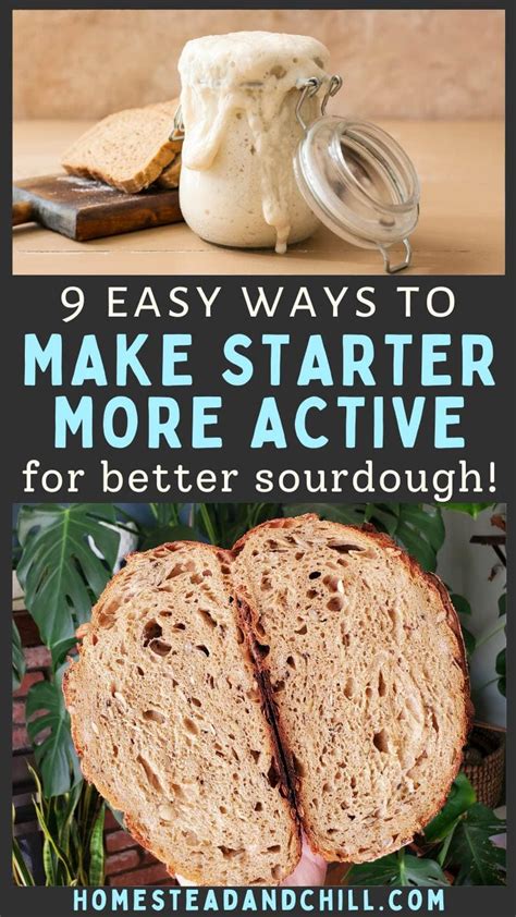 Sourdough Starter Not Rising 9 Ways To Strengthen Starter ~ Homestead