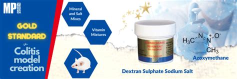 Dss Induced Colitis Model Supporting Your Ibd Research Banksia Scientific