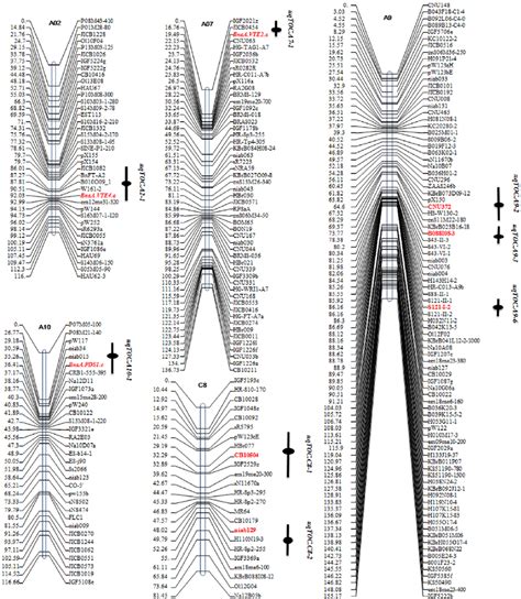 Comparison Of Qtl Mapping And Association Analysis Results Red