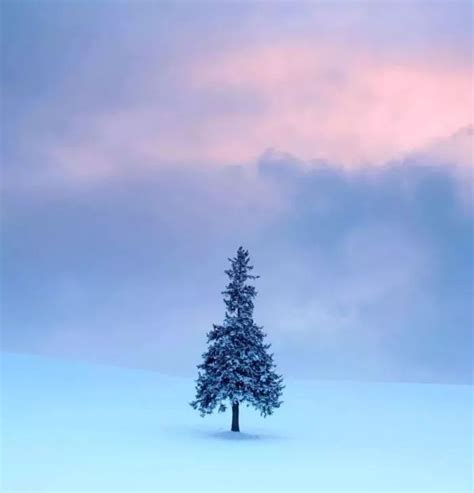 意大利作家卡尔维诺的经典语录