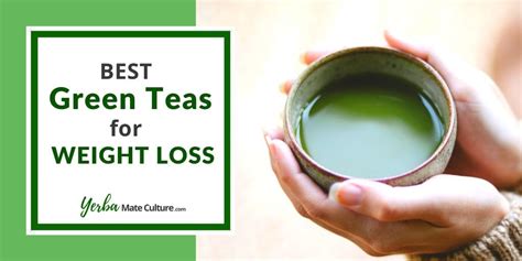 5 Best Green Tea Brands For Weight Loss In 2025