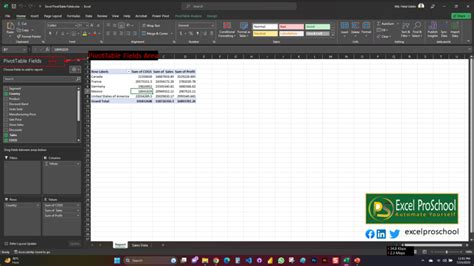 Excel Pivottable Fields Excel Pro School