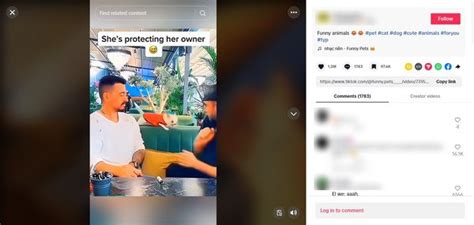 Los 10 Memes De Tiktok Más Populares De 2024 Cuál Es Tu Favorito