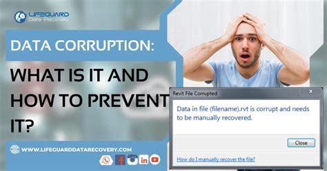 Data Corruption What Is It And How To Prevent It Lifeguard Data
