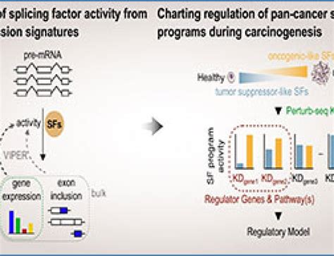 Seuratextend Streamlining Single Cell Rna Seq Analysis Through An Integrated And Intuitive