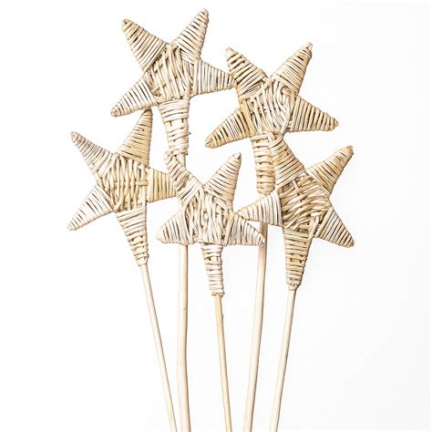 Floralcraft® Lata Star Michael Dark