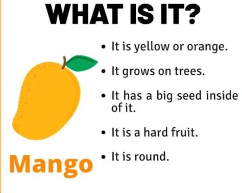 What Is A Mango
