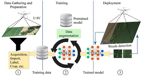 Deep Object Detection Of Crop Weeds Performance Of Yolov7 On A Real Case Dataset From Uav Images