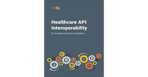 Healthcare Api Interoperability An Implementation Guideline Free White