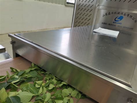微波杀青烘干茶叶的优势 搜狐大视野 搜狐新闻