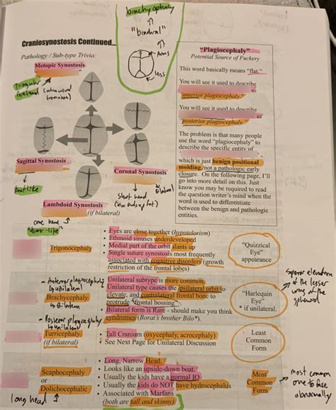 Craniosynostosis Types And Associations Diagram Quizlet