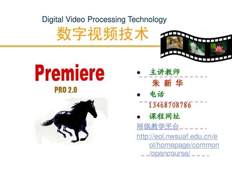 第一章 基础知识2010 word文档在线阅读与下载 无忧文档