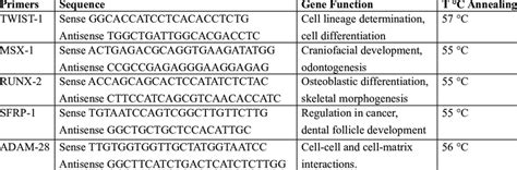 Oligonucleotide Primers For Real Time Pcr Download Scientific Diagram