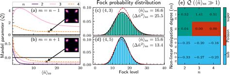 Figure 1 From Quantum Memories For Squeezed And Coherent Superpositions In A Driven Dissipative