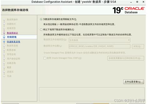 oracle 19c 安装（linux） linux安装oracle19c csdn博客