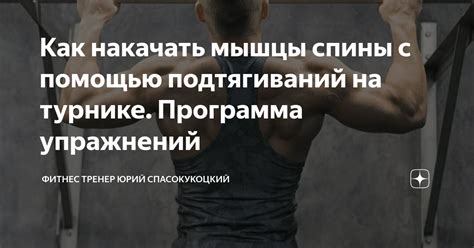 Как накачать мышцы спины с помощью подтягиваний на турнике Программа