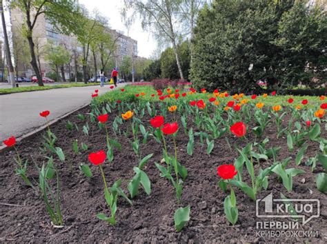 Криворіжці можуть оформити грошову компенсацію за розміщення переселенців Первый Криворожский