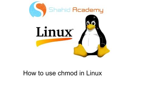 More About Linux File Permissions