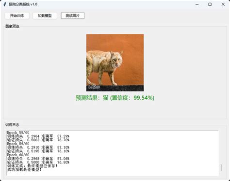 基于cnn的猫狗图像分类系统 技术栈