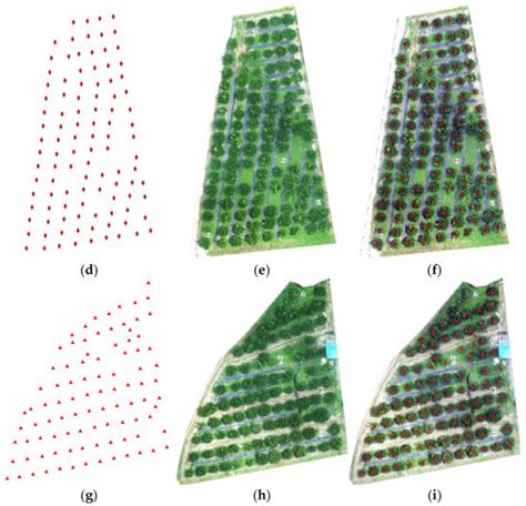 Remote Sensing Special Issue Vegetation Biophysical Variables And