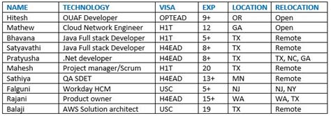C2c Java Salesforce Python Mlops Dotnet Projectmanager Sdet Qa Mike Y