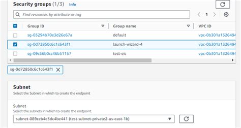 Remotely Connect To Your Instances Without A Public Ip Address