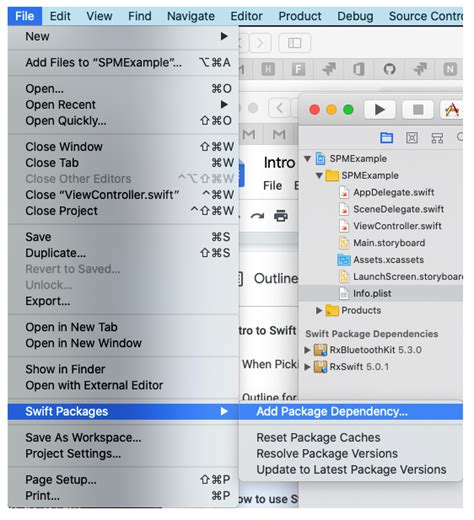 How To Use Apples Swift Package Manager Punch Through
