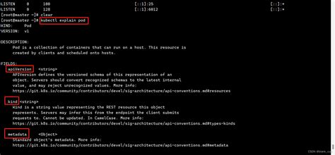 K8s学习（五）查看pod中的容器名 Csdn博客