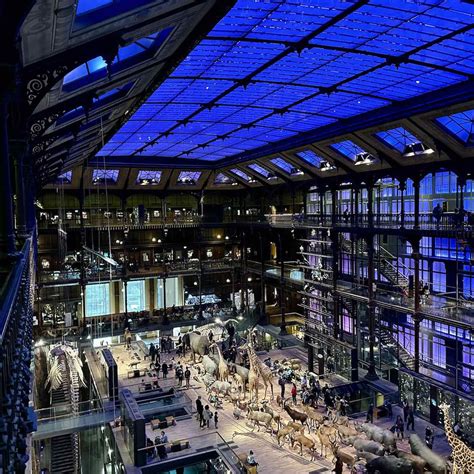 Pourquoi Visiter La Grande Galerie De L Evolution Pariscrea Com