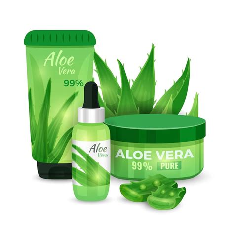 알로에베라 추출물이 함유된 보습 페이스 크림 세럼 바디 로션 프리미엄 벡터