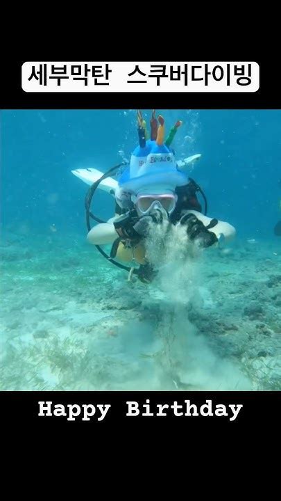 세부바다 바닷속에서 맞이한 최고의 생일 Youtube